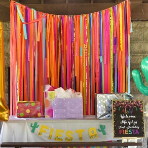 Fiesta Backdrop, Fiesta Decorations, Streamer Backdrop, Fringe Backdrop ...
