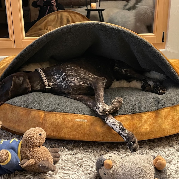 MERINO WOOL DOG Bed, Dog Cave Bed, Washable Dog Bed, Natural Wool Dog ...