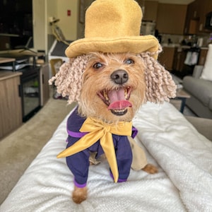 Alien Dog Costume, Toy Story Alien Dog Outfit, Halloween Dog Outfit ...