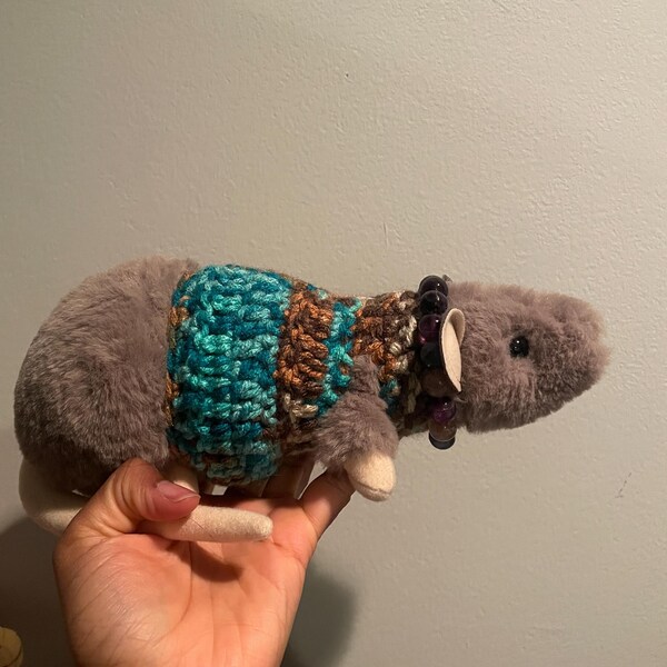 Rat Sweater - Cozy Sweater - Pet Sweater - Red Heart - Yarn - New ...