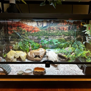 40 Gallon Desert Landscape Tank Background by Petbackdrops - Etsy