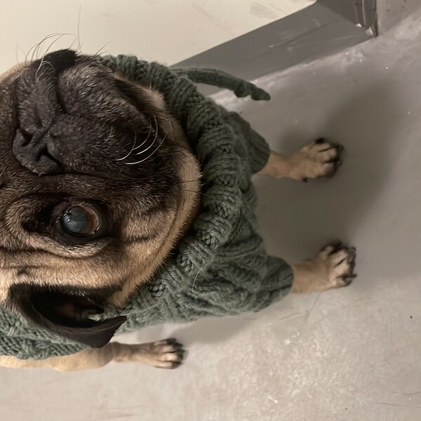Pug Clothes Knitted Aran Sweater Dog Sweater Knitted Dog Sweater Pug ...