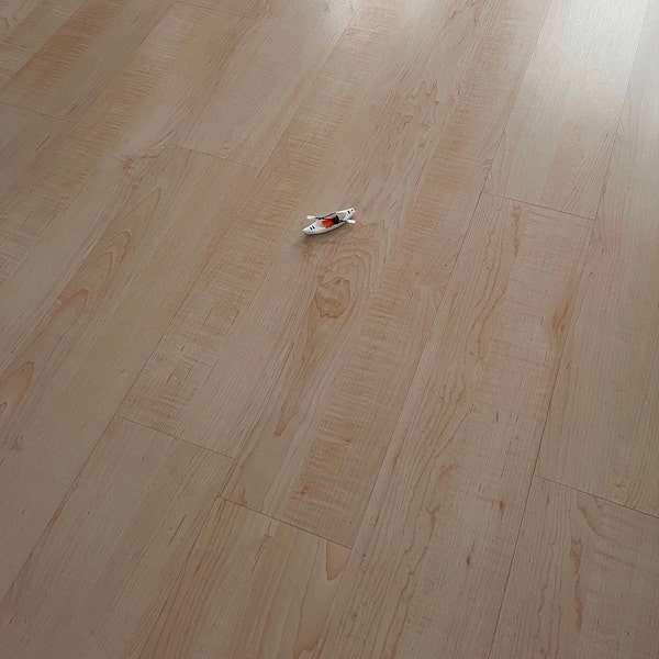 RAD Power Bike, 2 Pack Shark Battery Replacement Fuse, Plug, Cap ...