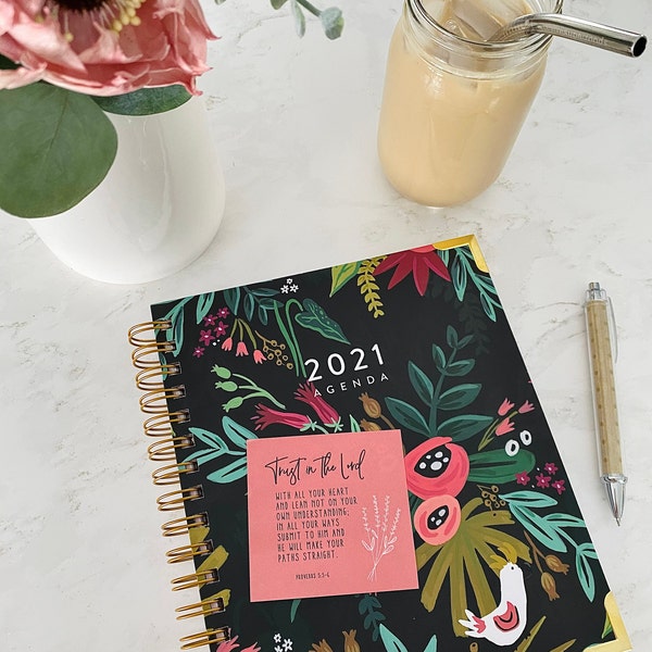 BULK Fuzzy Burr Oak Acorns, Small Bur Oak Acorn Cap, BULK Tiny Fairy ...