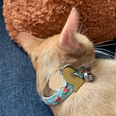 Cat Tag Cat Name Tag Hanging Tag Custom Tiny Cat Tag - Etsy