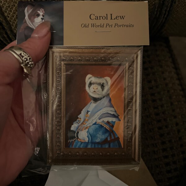 Ferret, Ferret Magnet, Refrigerator Magnet, Magnet, Ferret Clothes ...