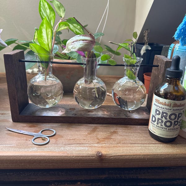 Market Botany Prop Drops - Liquid Propagation Supplement, Root Growth ...