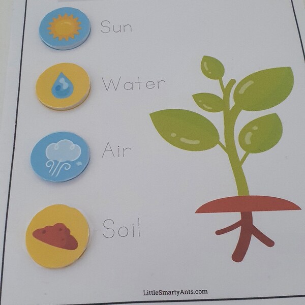 Parts of Plant, Plant Life Cycle, Plant Activity, Nature Study ...