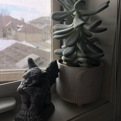 Sleeping Nymph Nymph Statue 8 In. 20 Cm Canova Artwork - Etsy Canada