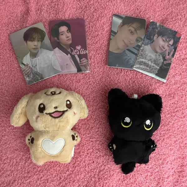 Enhypen En-dolls | Animal Fanmade Plushie | Jungwon | Heeseung | Jake ...