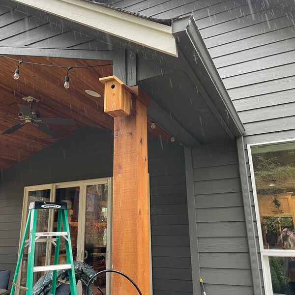 Eastern Phoebe Cedar Nest Box - Etsy