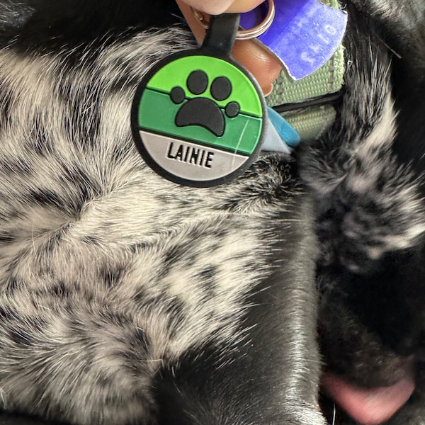 Love Your Pets Soundless Designer Pet ID Tag - Deep Engraved Silicone ...