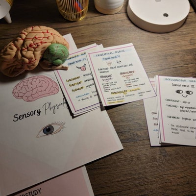 Anatomy and Physiology Note Taking Templates Study Guide Templates - Etsy