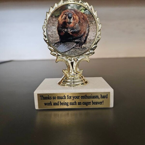 Pi Math Logo Trophy - Etsy