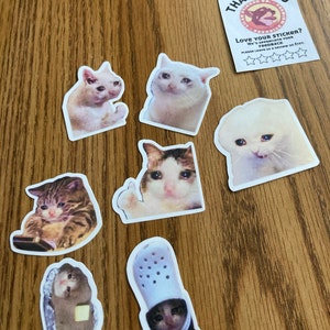 Crying Cat Sticker Pack Pack of 7 Meme Crying Cat Stickers - Etsy