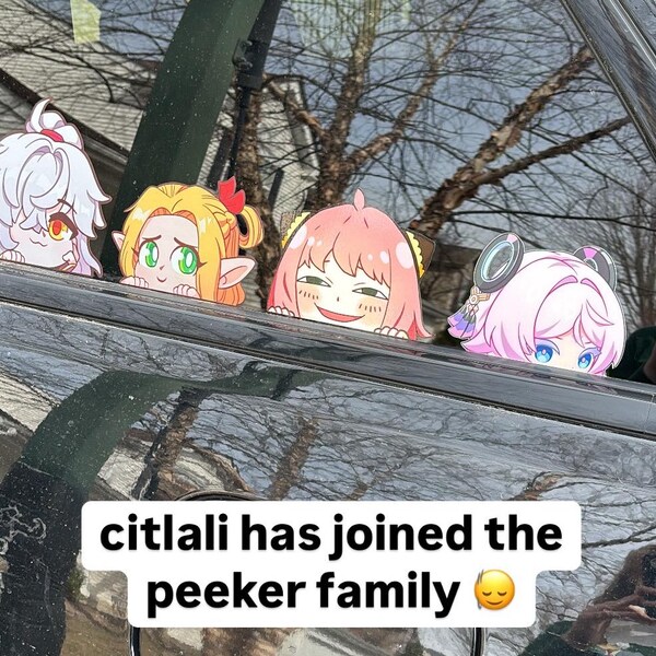 Boothill Peeker Holographic Sticker | Honkai Star Rail Sticker | Honkai ...
