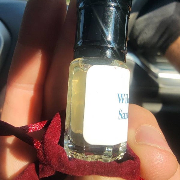 Onycha-operculum Hard Operculum Shells, Sea Shells, Devils Nails ...