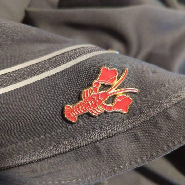 Maine - Gold Enamel Lapel Pin - Etsy