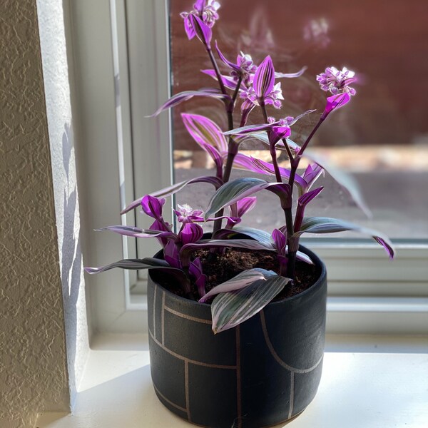 COLLAGE SHAPE Planter-with Drip Tray and Drainage Hole. Made From ...