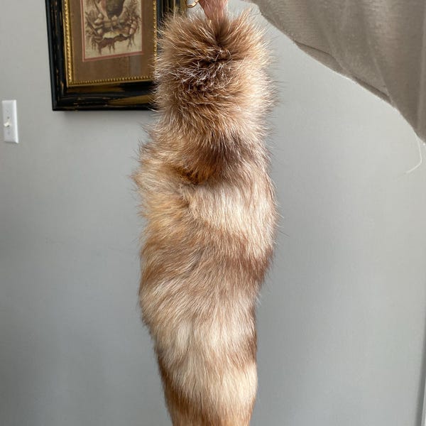XL Smokey Red Fox Tail (XL and Regular Size), Real Fox Tail, Tails for ...