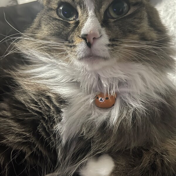 DIY Cat Collar Kits. Make Your Own Cat Collar! Buckle+slider+d-ring - Etsy