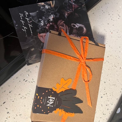 Framed Magpie Skull 3D Gothic Wall Art Halloween Home Decor - Etsy