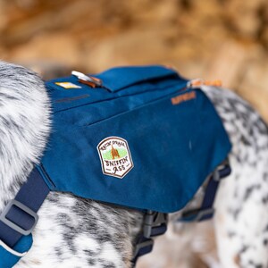 Adventure Buddy Patch for Dogs Iron-on Velcro - Etsy