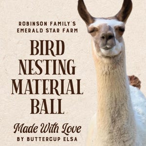 BOGO / Birthday Thank You Stickers / Birthday Stickers Personalized ...