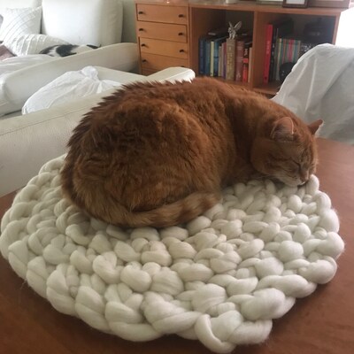 White Natural Wool Cat House Thick Knitted Bedding for Indoor - Etsy