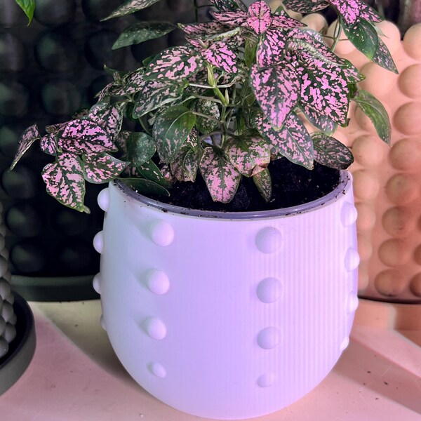 GANSAL Slat Planter Pot 4, 5, 6, 7 Wide Clear Pot With Drainage ...