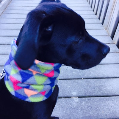 Fleece Dog Snood Design - Etsy