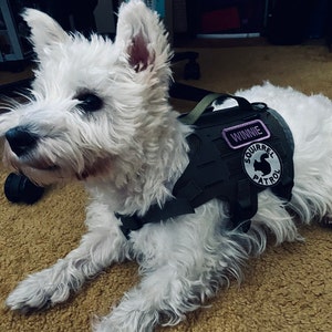 Stinky Poop Morale Patch - Etsy