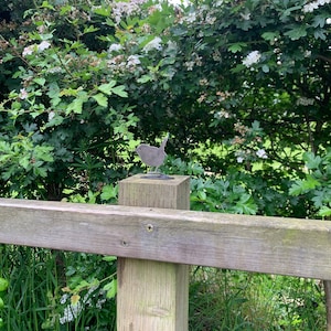 Metal Robin in a Disc Door Hanger Metal Garden Art Made in Wales Metal ...