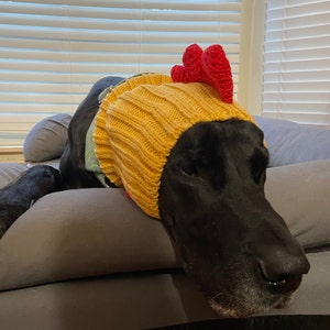 Rooster Chicken Dog Snood Knit Crochet Dog Hat Easter Dog Costume Ear ...