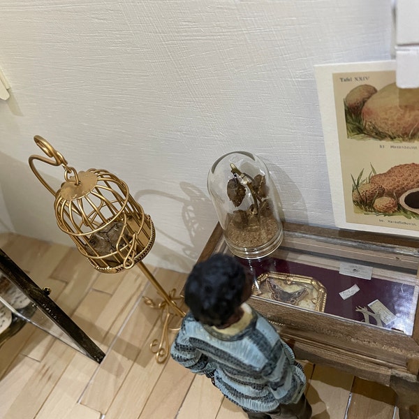 DIY Miniature Cabinet of Curiosities KIT - Oddities Museum Collection ...