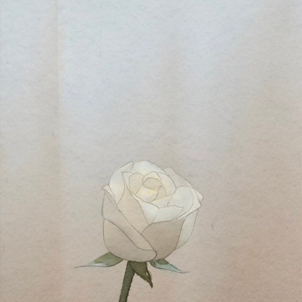 Phone Background Watercolor Spring Ios Wallpaper Minimal Botanical ...