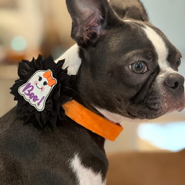 Reindeer Dog Collar Embellishment, Christmas Dog Collar Accessory ...