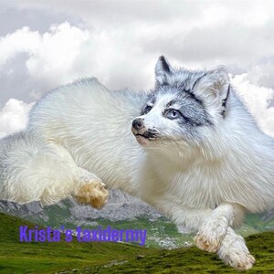 Lucky Rabbit Foot Keychain Charm, Midnight Blue, Real Rabbit Foot. - Etsy