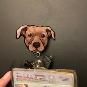 Red Panda Magnet: Gift for Red Panda Lovers Chinese Animal - Etsy