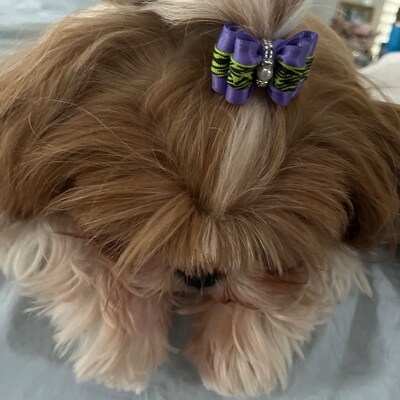 Satin Dog Bow With Swarovski Crystals and Rhinestones, Small Dog Hair ...