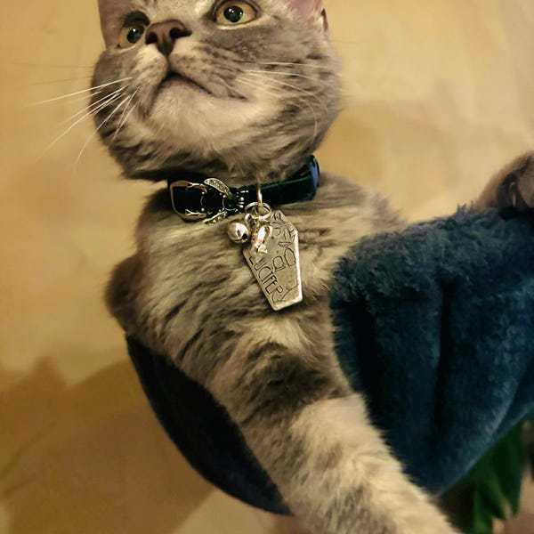 Cemetery Dog Tag Ghost Dog Tag Halloween Dog Tag Crow Raven Dog Tag Pet ...