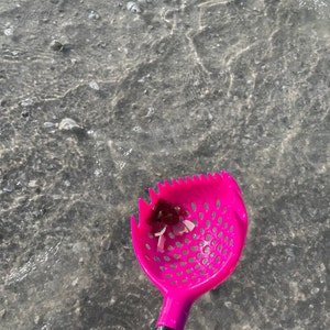 Shell Scoop, Rock Hunt Scoop, Shark Tooth Sifter, Sand Scoop, Rock ...