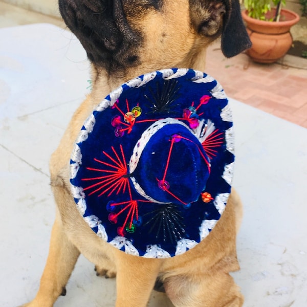 Mexican Dog Hat / Mariachi Dog Hats / Mexican Sombreros for Dogs ...