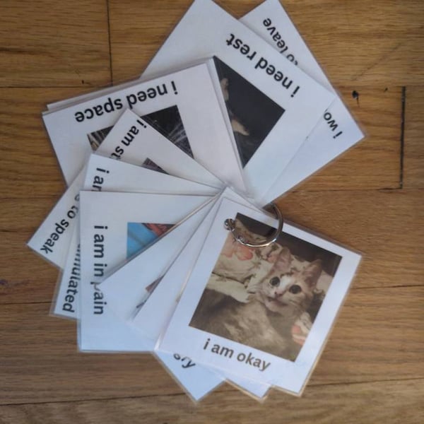 Silly Cat Themed Communication Cards (AAC, Nonverbal Aid, Autism ...