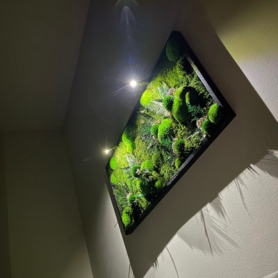 Beautiful Preserved Moss Artwork With LED Lights Live Moss LED Wall Art ...