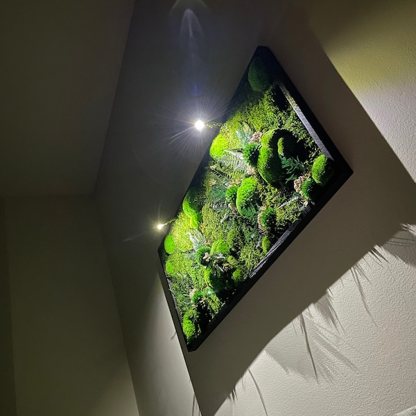 Beautiful Preserved Moss Artwork With LED Lights Live Moss LED Wall Art ...