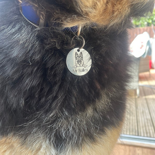 Dog Tag, Name Tag, Pet ID, Dog Name Disc, Engraved Stainless Steel ...