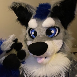 Fennec Fox Fursuit Partial Fox Fursuit Head Premade Fursuit - Etsy