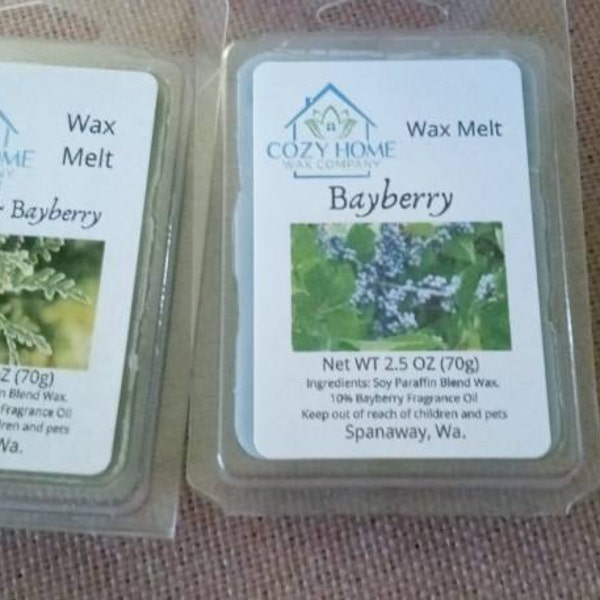 Fruit Loops Shaped and Scented Wax Embeds Pack of Wax Embeds 9oz Bag ...