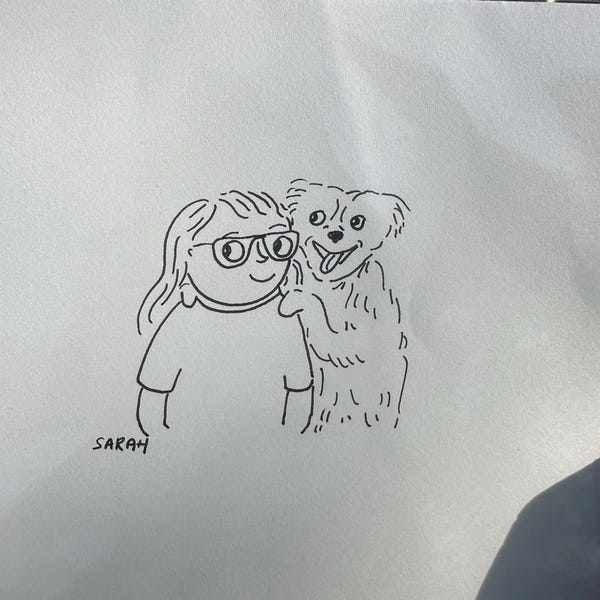 A Signed Print of Any Single Panel Cartoon I've Done - Etsy